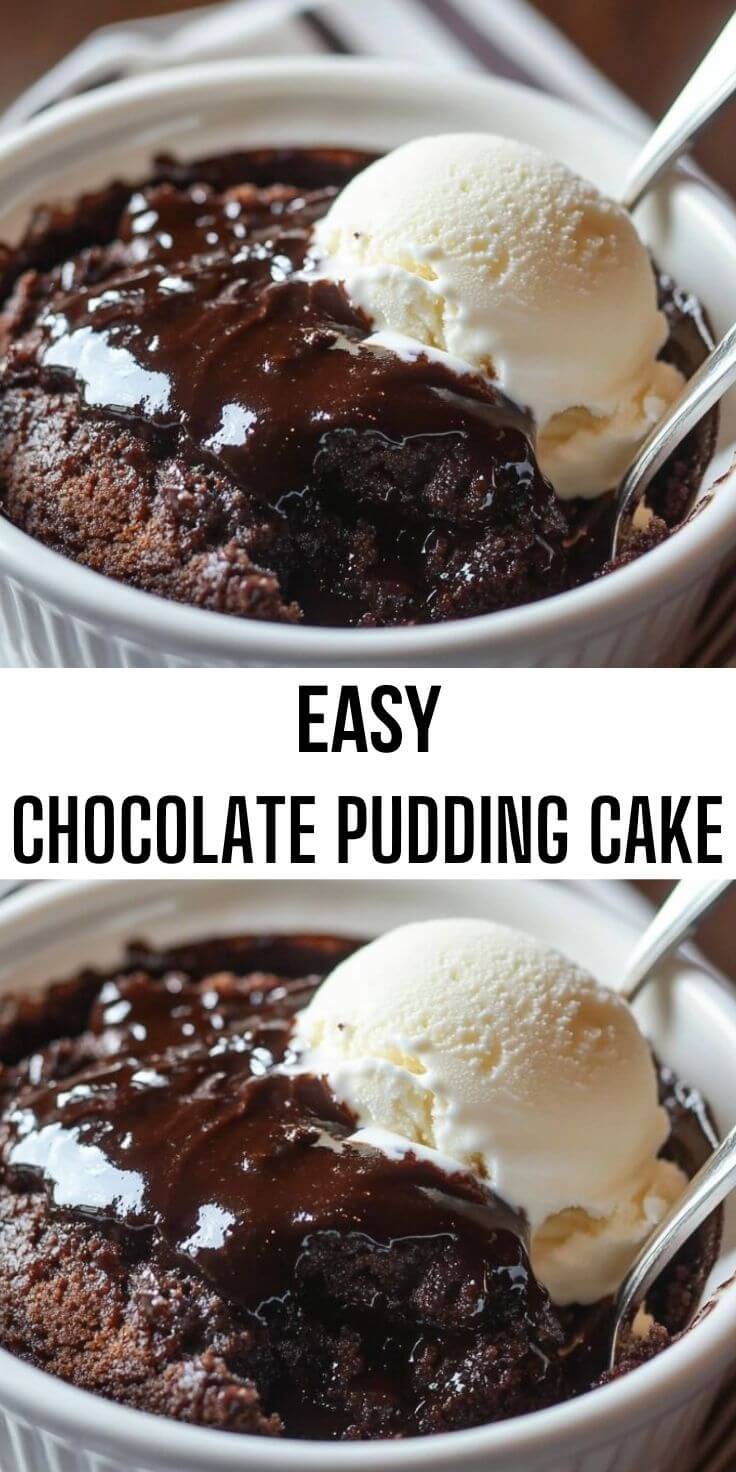 Easy Chocolate Pudding Cake - Thecozyweave